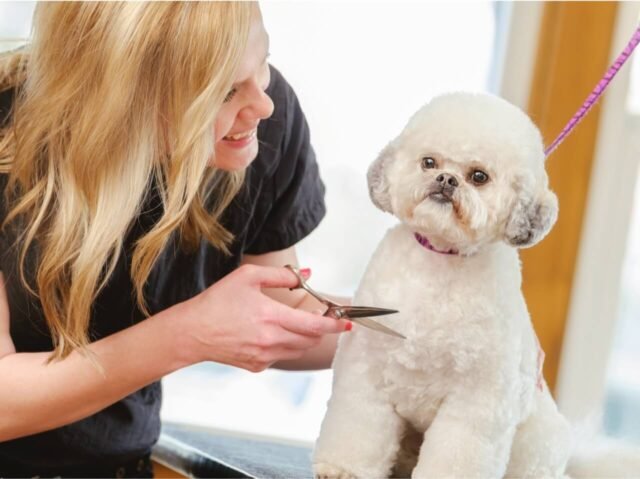 Grooming - mykickfresh.com